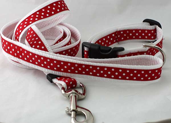 Easy Craft: Dog Leash and Collar